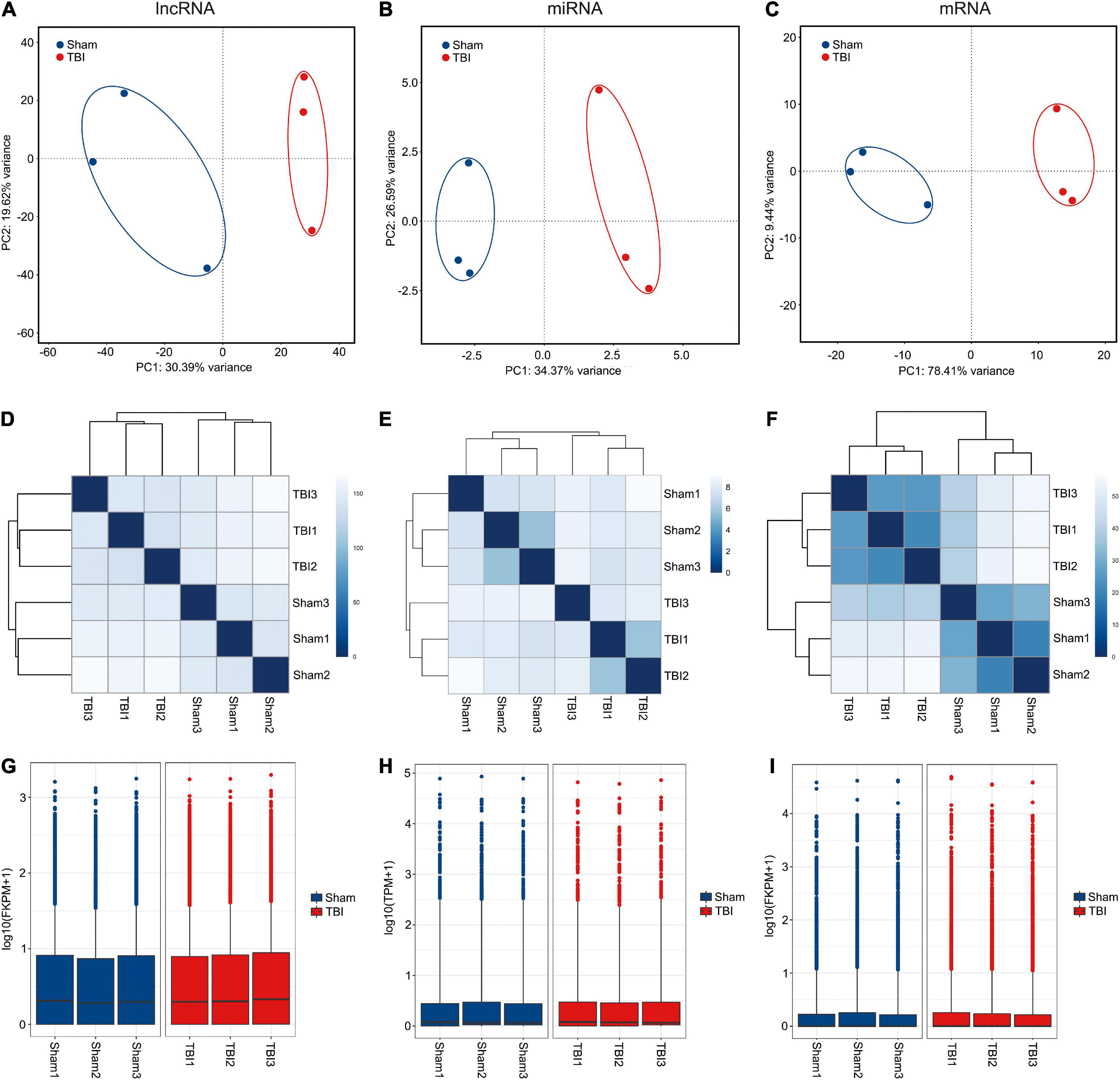 Frontiers Characterization Of The Lncrna Mirna Mrna Regulatory